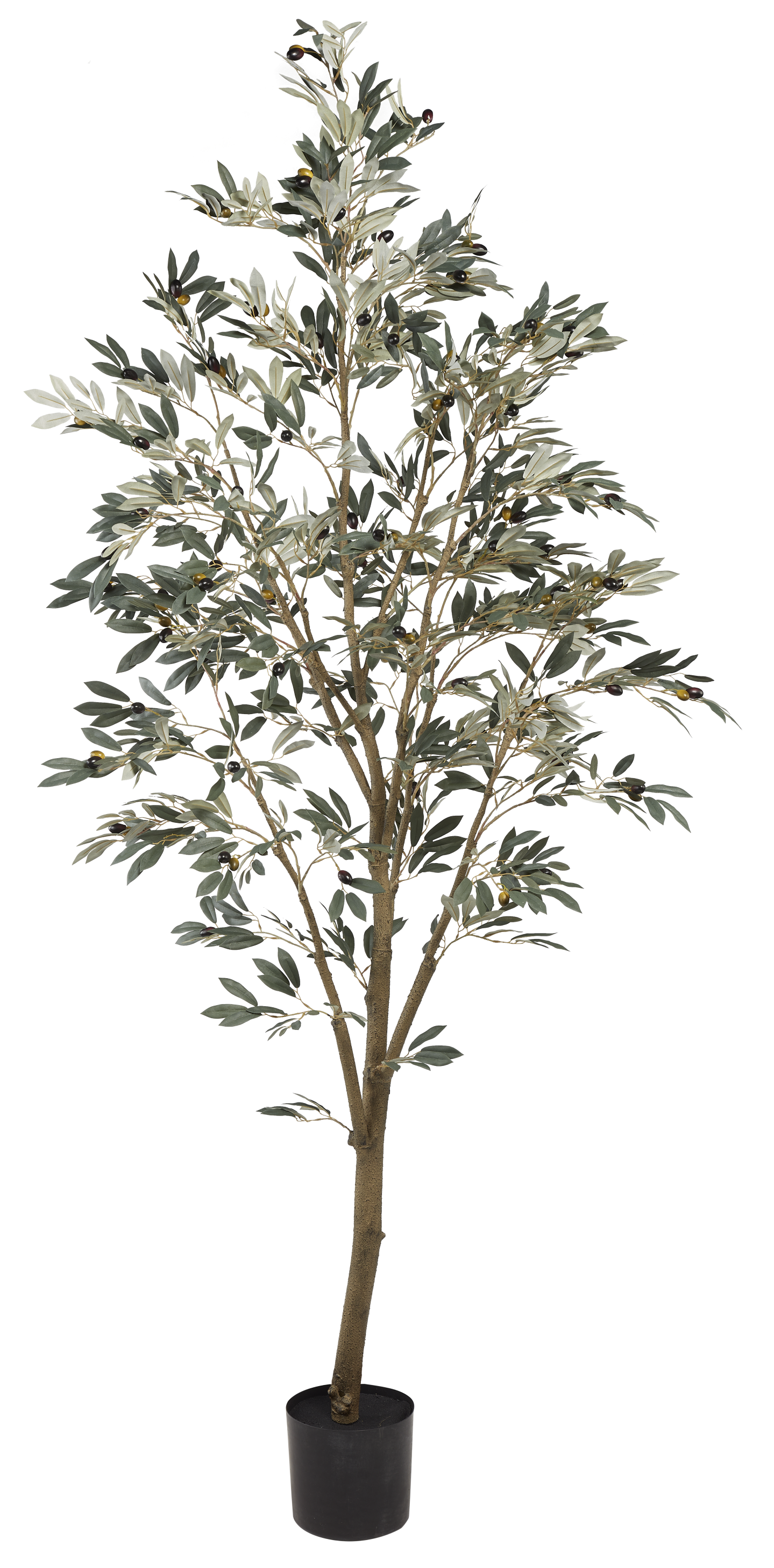 7' Olive Tree – Fig and Olive Home Decor