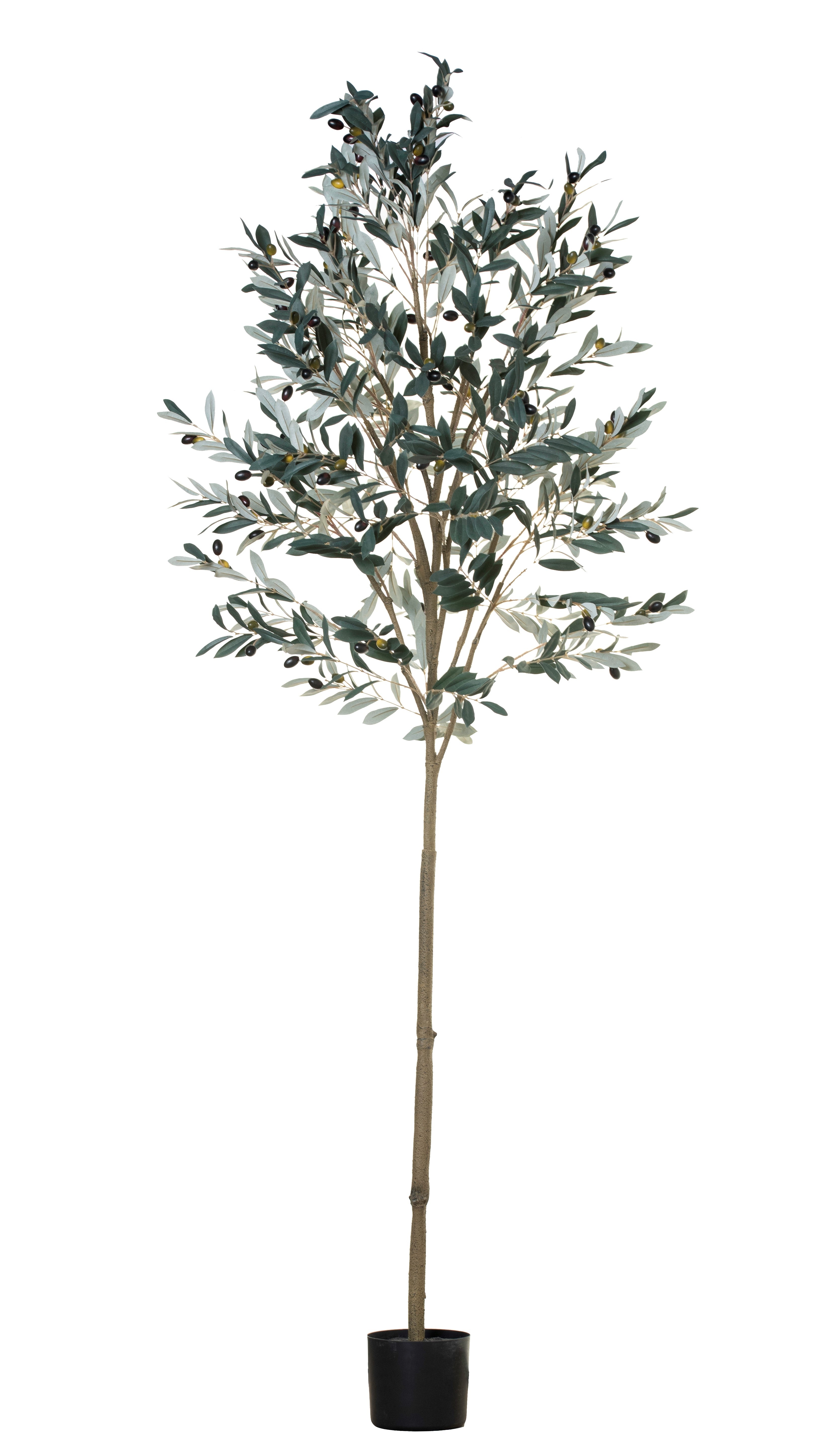 7' Olive Tree – Fig and Olive Home Decor